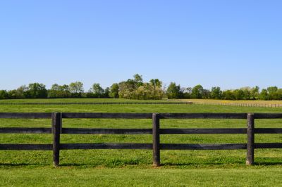 Get Horse Fence Installation - Local Professionals